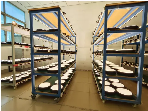 What IP Rating Is Recommended for Outdoor Bulkhead Lights? - Exhibition ...